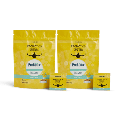 ProBioraPet® - 1st Dental Probiotics for Cats | ProBiora Health