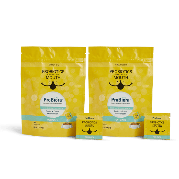 ProBioraPet® - 1st Dental Probiotics for Cats | ProBiora Health