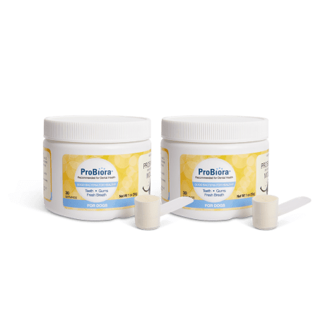 ProBioraPet® - 1st Dental Probiotics for Dogs | ProBiora Health