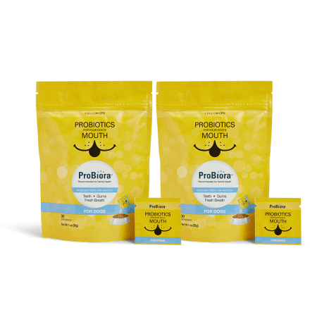 ProBioraPet® - 1st Dental Probiotics for Dogs | ProBiora Health