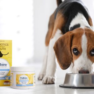 ProBioraPet® - 1st Dental Probiotics for Dogs | ProBiora Health