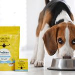 ProBioraPet® - 1st Dental Probiotics for Dogs | ProBiora Health