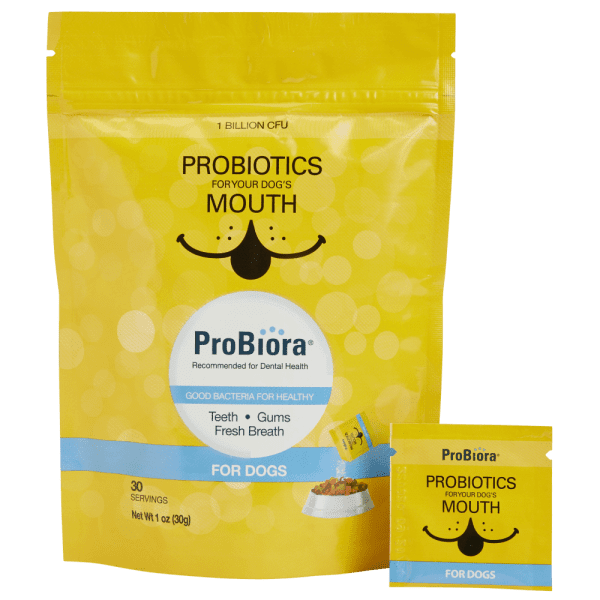 ProBioraPet® - 1st Dental Probiotics for Dogs | ProBiora Health
